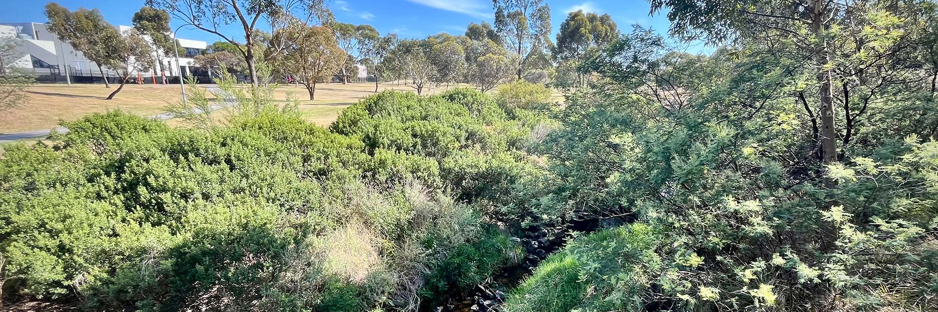 Merlynston Creek Master Plan | Participate Hume
